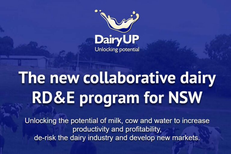 Dairy Research Foundation - Dairy Research Foundation